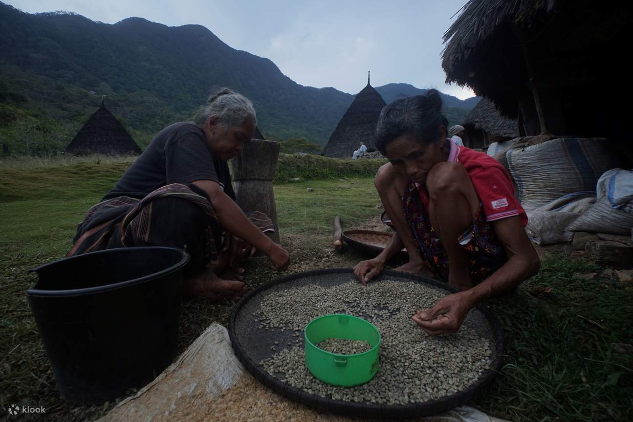 2D1N Exotic Waerebo Village Tour from Labuan Bajo - Klook