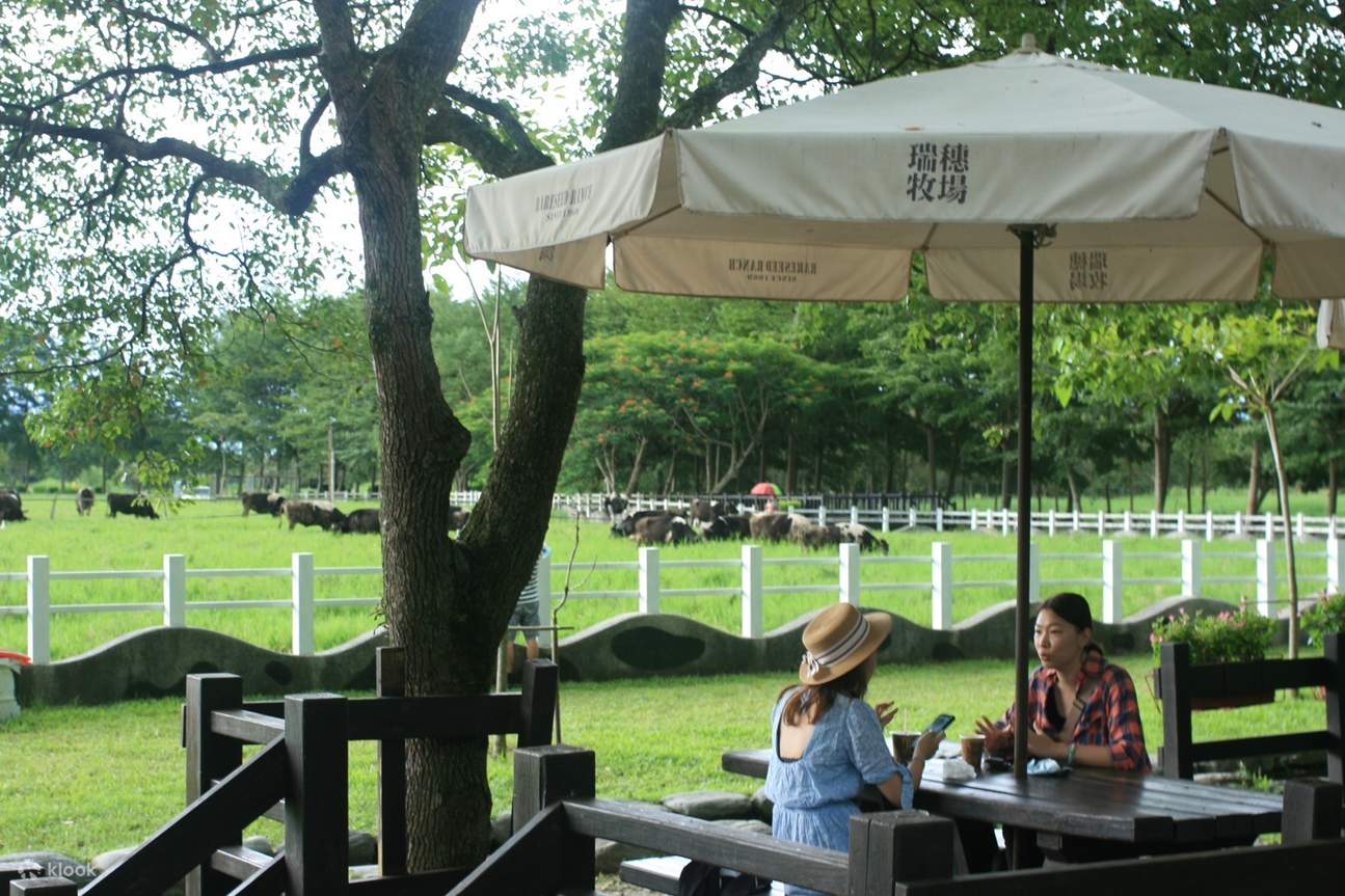 Hualien: Rift Valley, Mountain, and Ocean Forest One-Day Tour - Klook ...