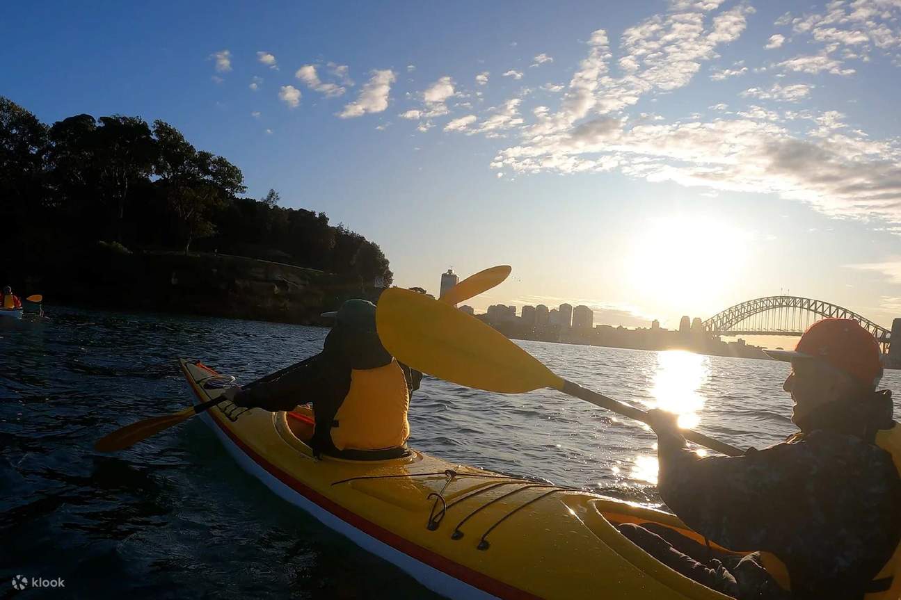 Sydney Harbour Guided Kayak Sunrise Tour - Klook India