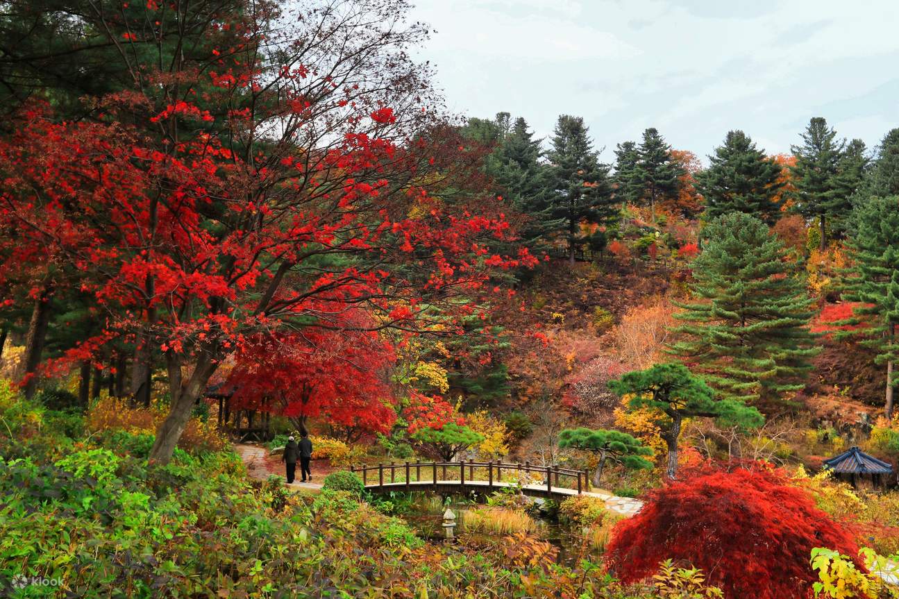 Muslim-Friendly | Seoul Private Car Charter to Seoul City / Seoul ...