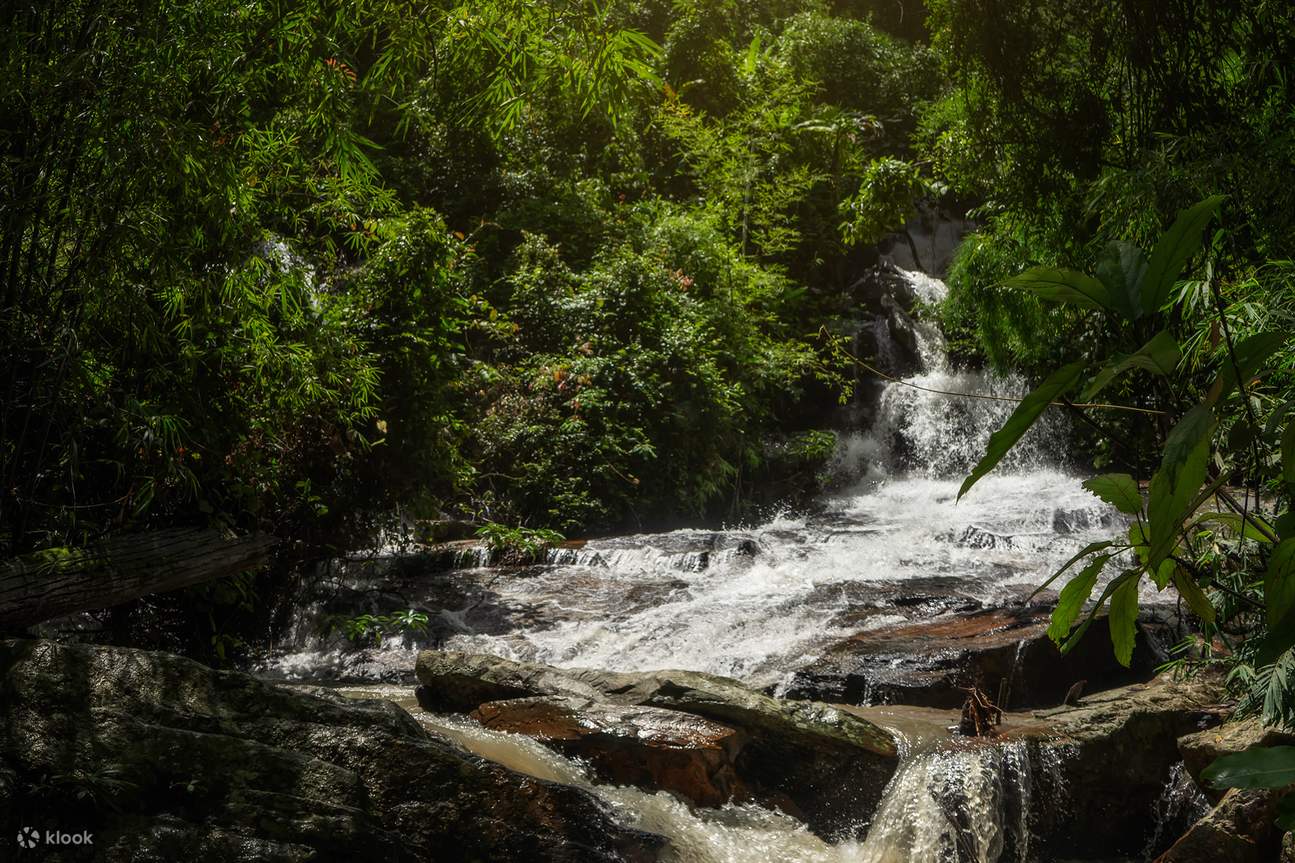 Chiang Mai Wat Luang Khun Win & Waterfall Full Day Hiking Adventure ...