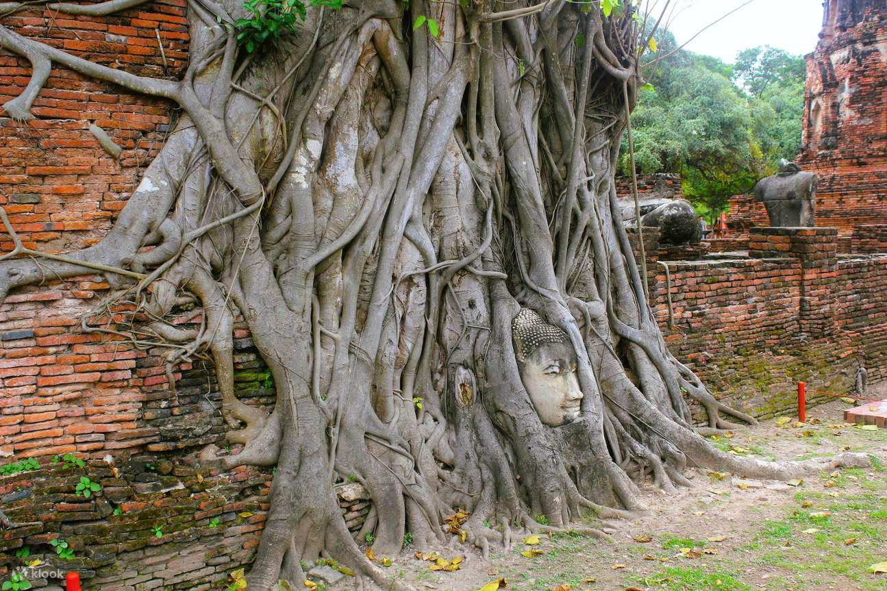 Bangkok or Pattaya: Day Trip to Ayutthaya with Private Longtail Tour ...