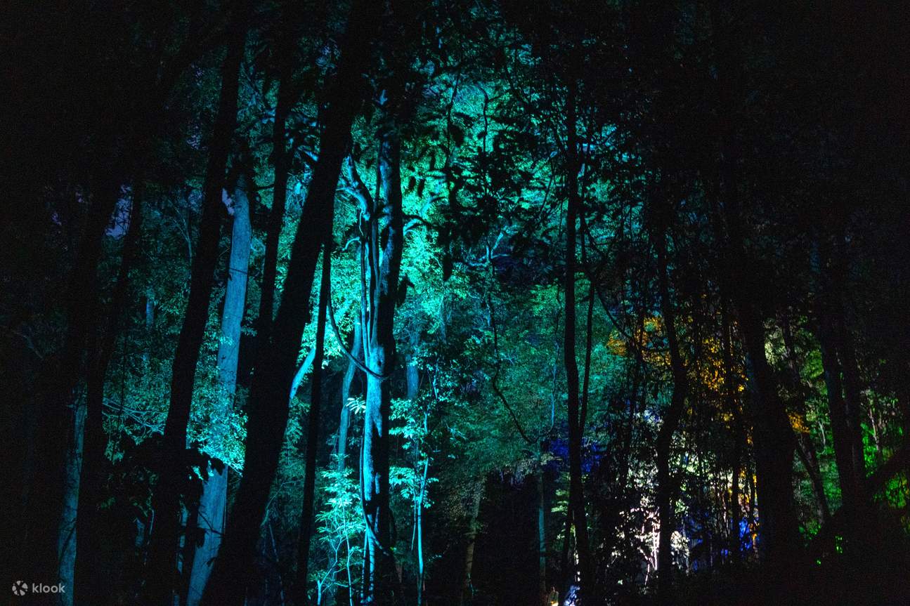 Dream Forest Langkawi Ticket - Klook Canada