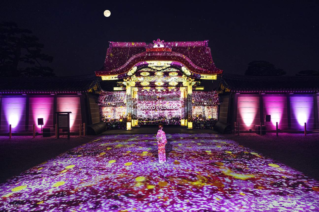Naked Sakura Festival Ticket At World Heritage Nijo Castle Klook