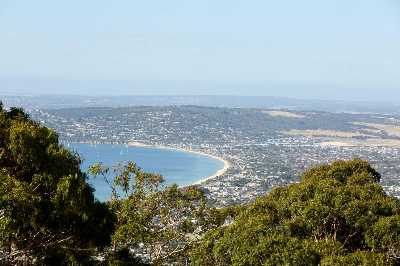 Mornington Peninsula Sightseeing & Bay Cruise Day Tour from Melbourne ...