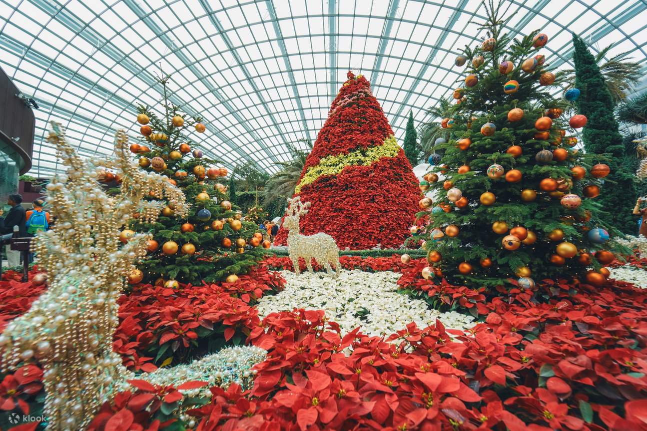 Gardens by the Bay Tickets (Singapore Cloud Forest & Flower Dome ...