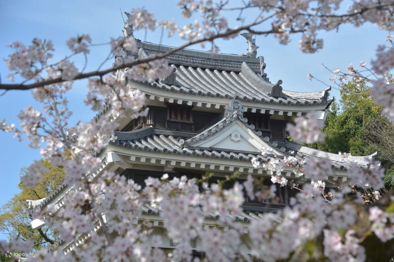 From Nagoya: Matcha, Confections, and Traditions in Nishio - Klook India