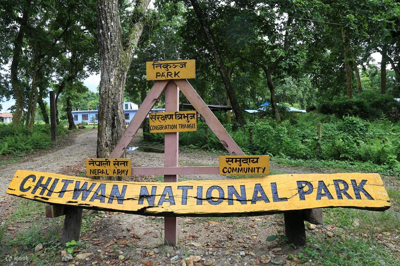 Chitwan National Park Tour from Pokhara - Klook Hong Kong