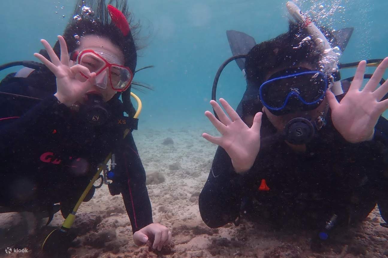 Beginner Scuba Diving with PADI in Ishigaki, Japan - Klook