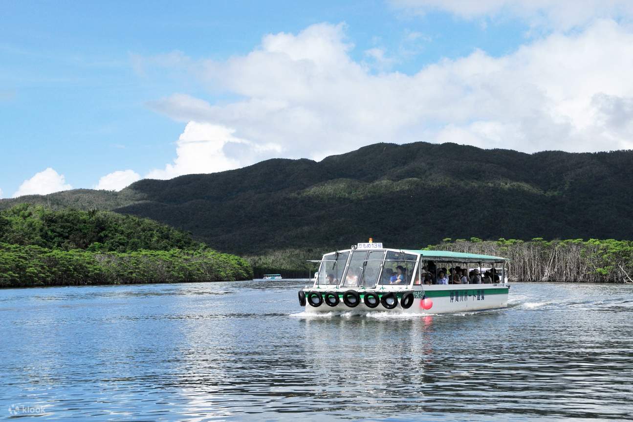 Okinawa Iriomote Island and Yubu Island Day Tour, Japan - Klook