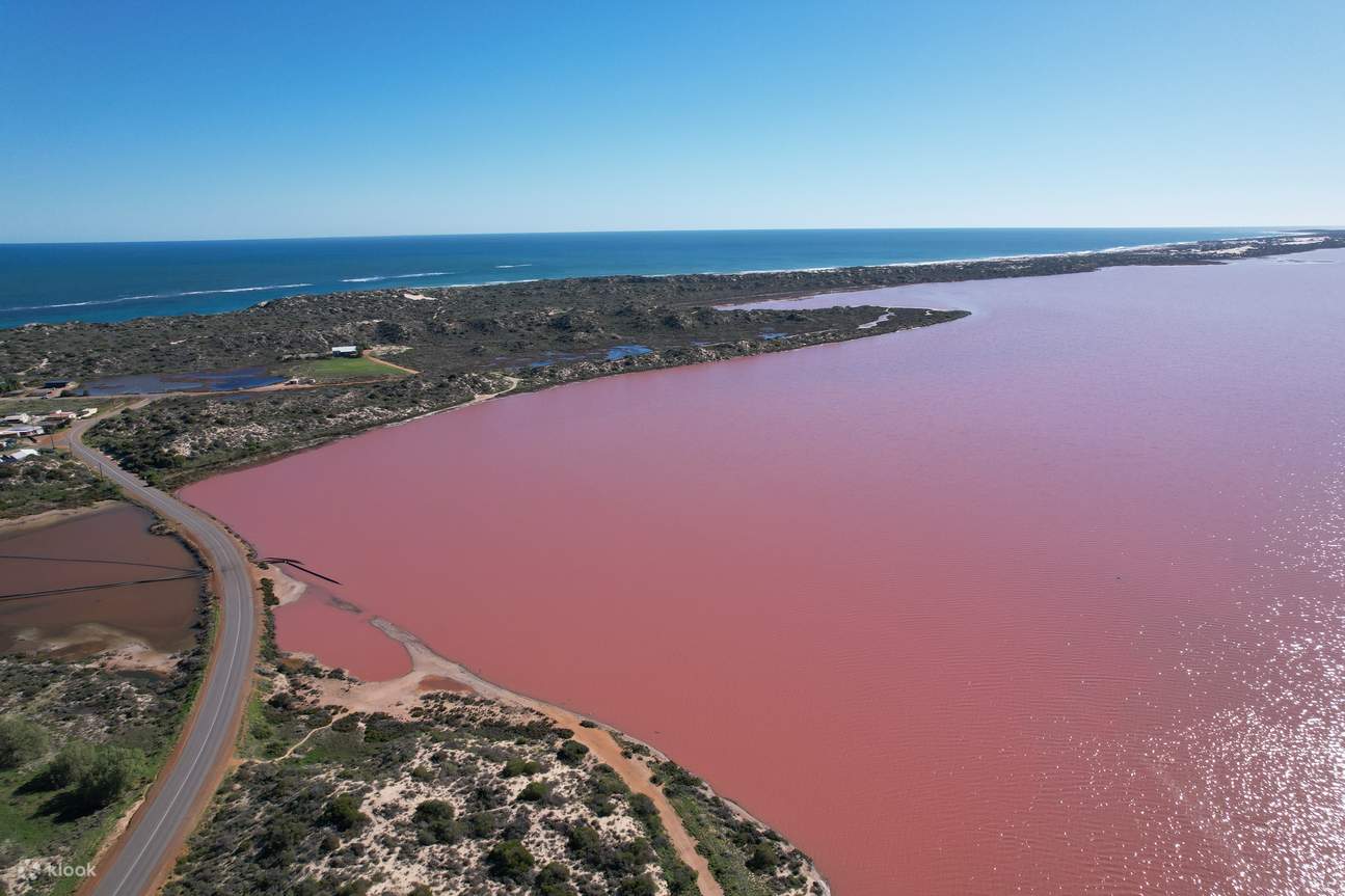 3-Day Pink Lake Impression Tour from Perth with Chinese Guide - Klook