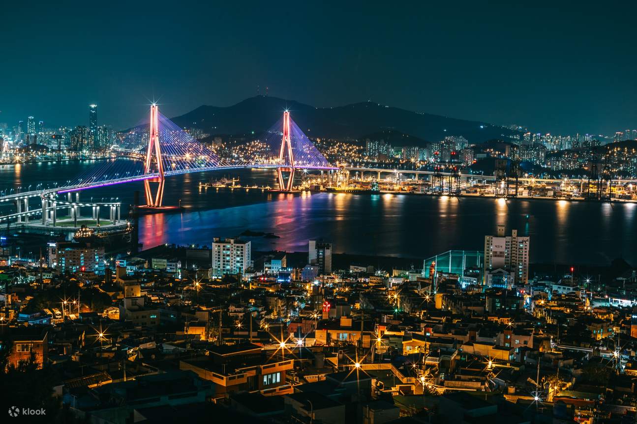 Busan/Gyeongju/Nearby Cities Private Charter One-Day Tour - Klook