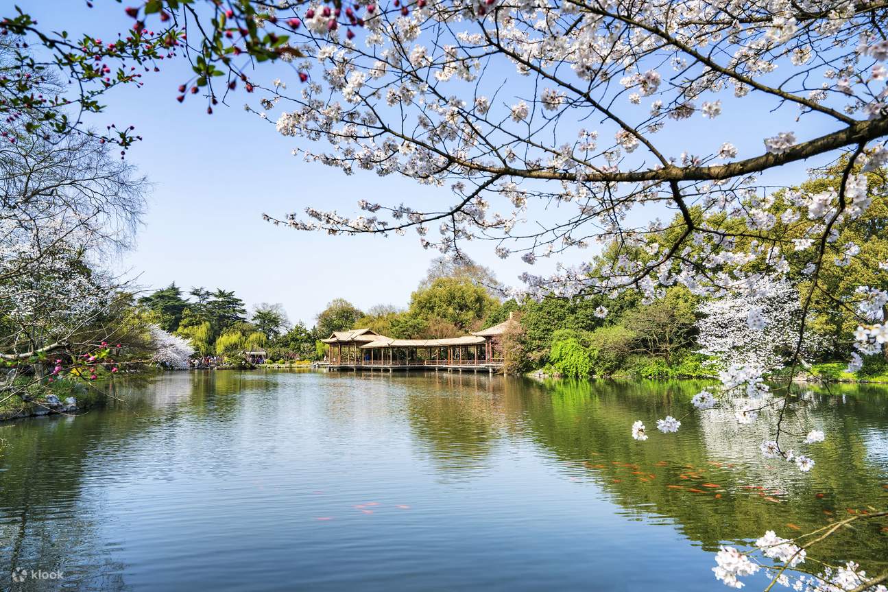 Classic Half-Day Tour of West Lake, Hangzhou (West Lake Cruise ...