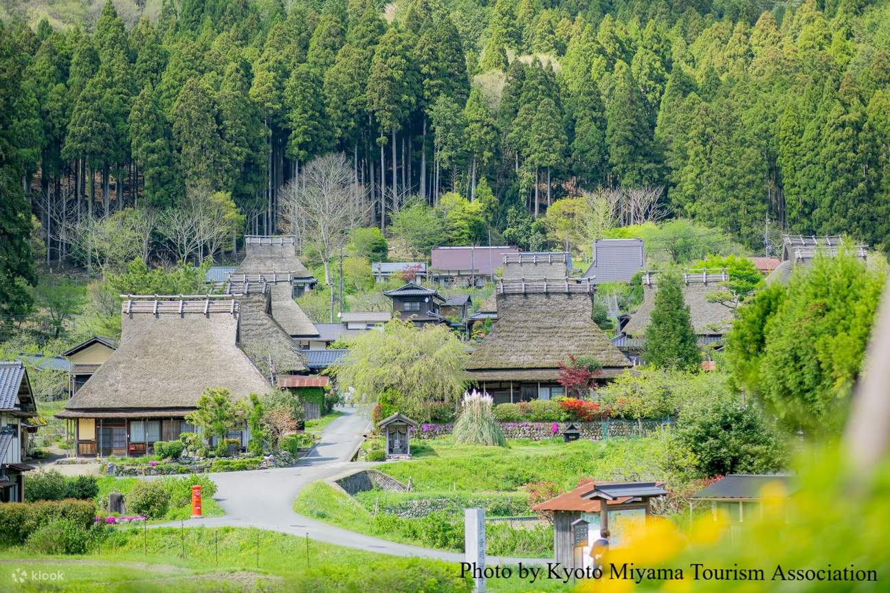 [Private Tour] Kyoto Amanohashidate, Ine, Miyama no sato Day Tour From ...