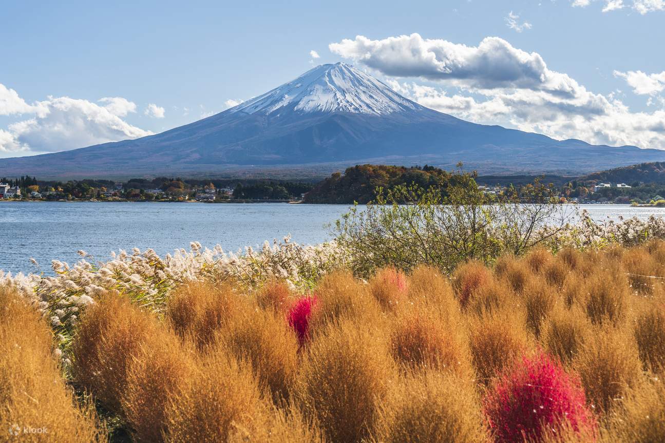 Mount Fuji Day Trip: Arakurayama Sengen Park & Oshino Hakkai & Saiko ...