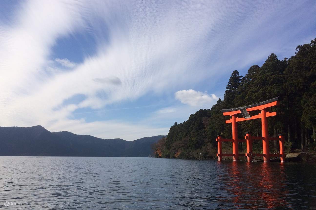 Mishima Sky Bridge Hydrangea Festival, Hakone Hydrangea Tram ...