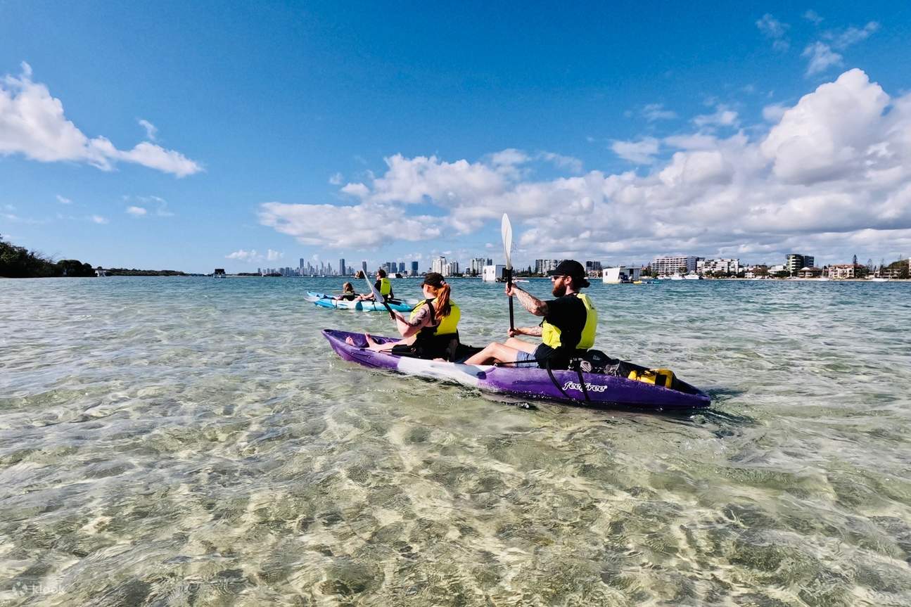 2 Hour Broadwater Dolphin Kayaking & Snorkeling in Gold Coast Kayaking ...