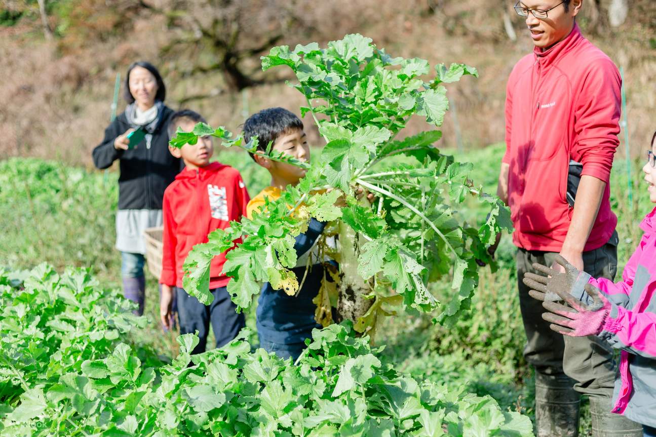 2 Day Learning experience from farm to table Join In Cultural Tour from ...