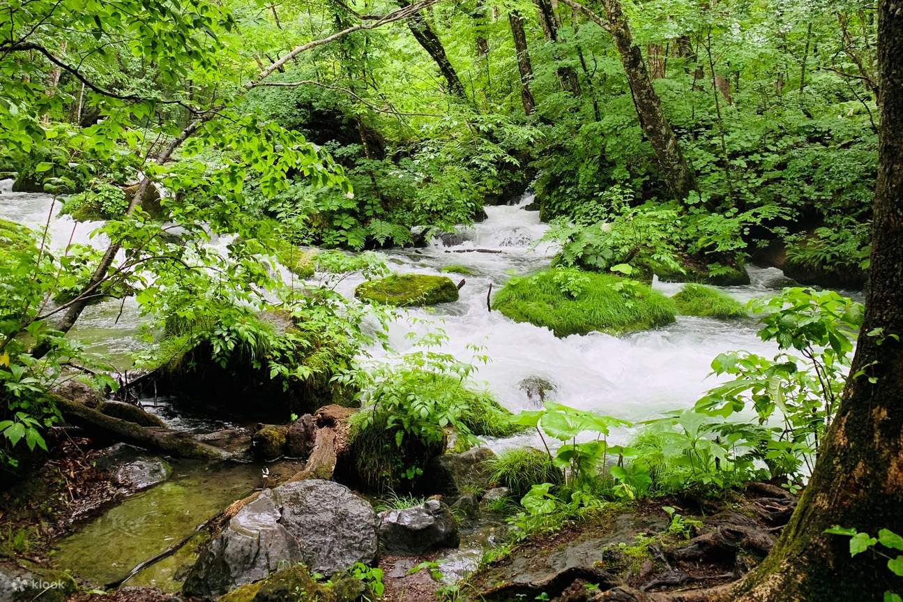 Towada City, Oirase Gorge Half Day Walking Tour - Klook Australia
