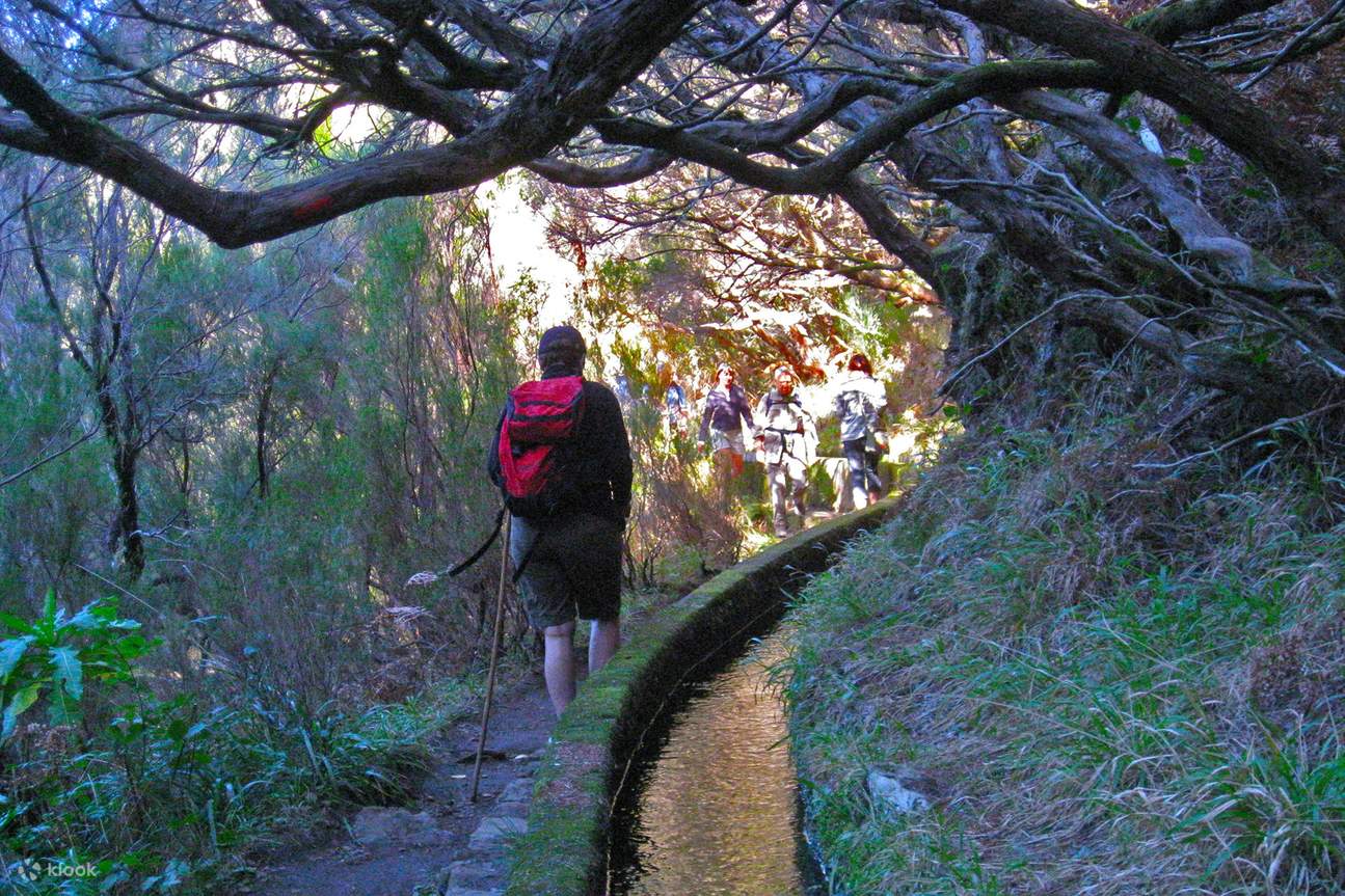 Rabacal Valley Walking Tour from Funchal - Klook