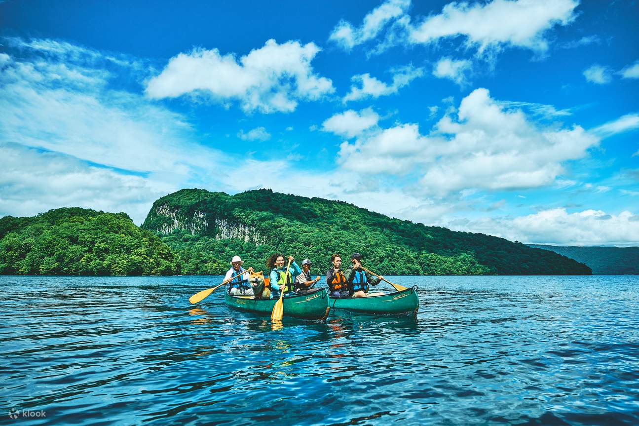 Unleash Adventure: Explore with Akita Dogs | Premier Tours at Akita ...