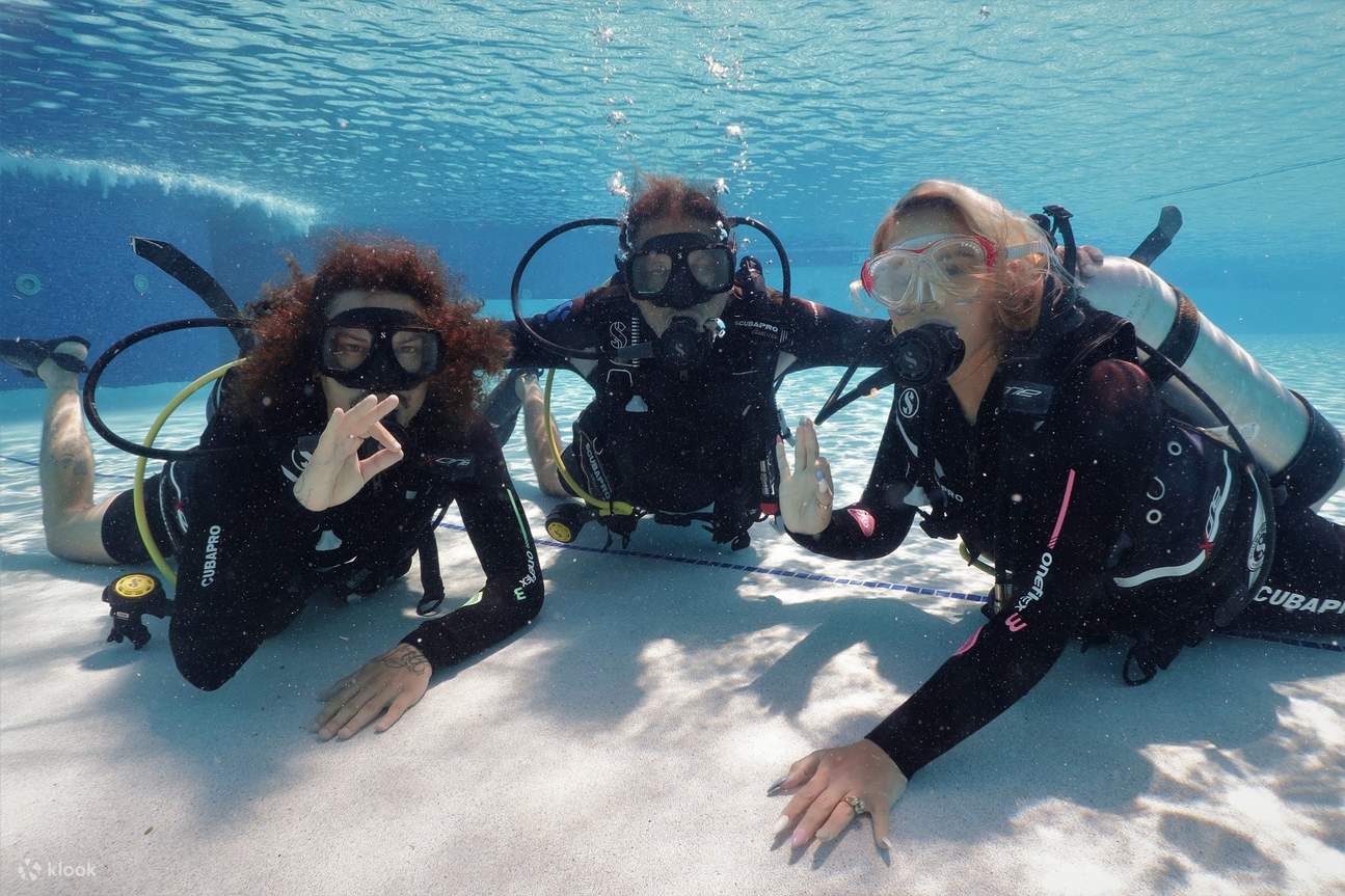 Padi Open Water Certification Scuba Diving Course in Playa del Carmen ...