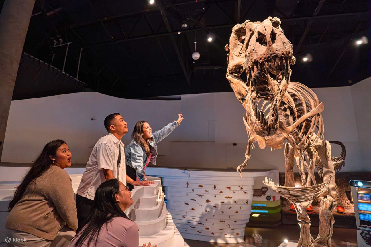 The Mind Museum BGC Ticket - Klook Philippines