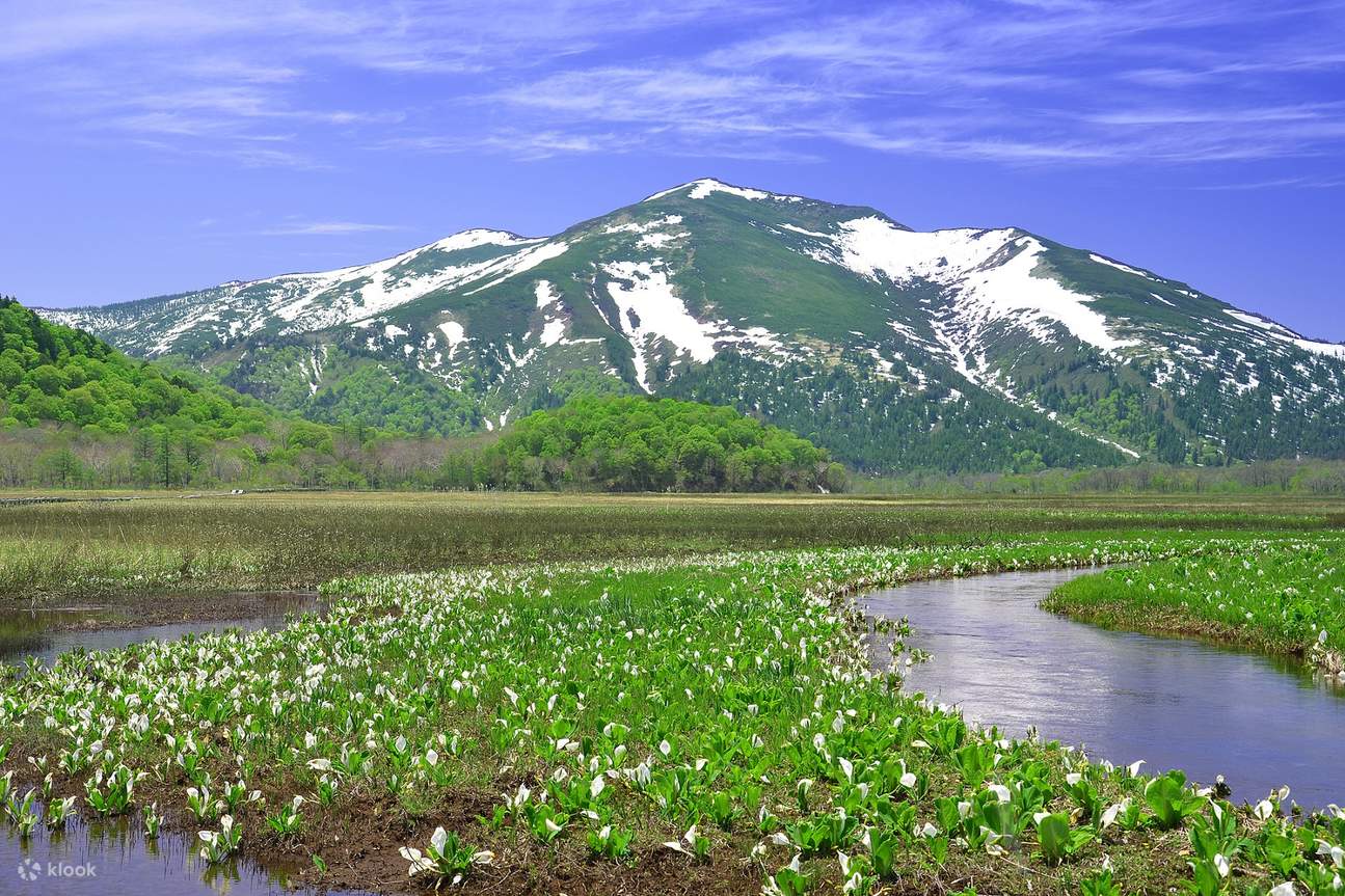 [Gunma Scenic Hiking Tour] Japan's Largest Plateau Wetland "Oze-no-hara ...