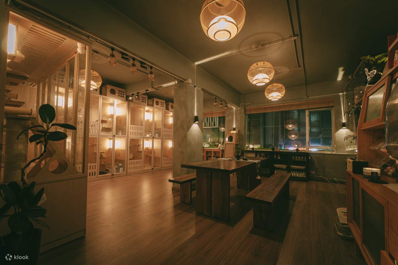 Mau Planet X Mau BnB Cat Hotel in Hong Kong - Klook Malaysia