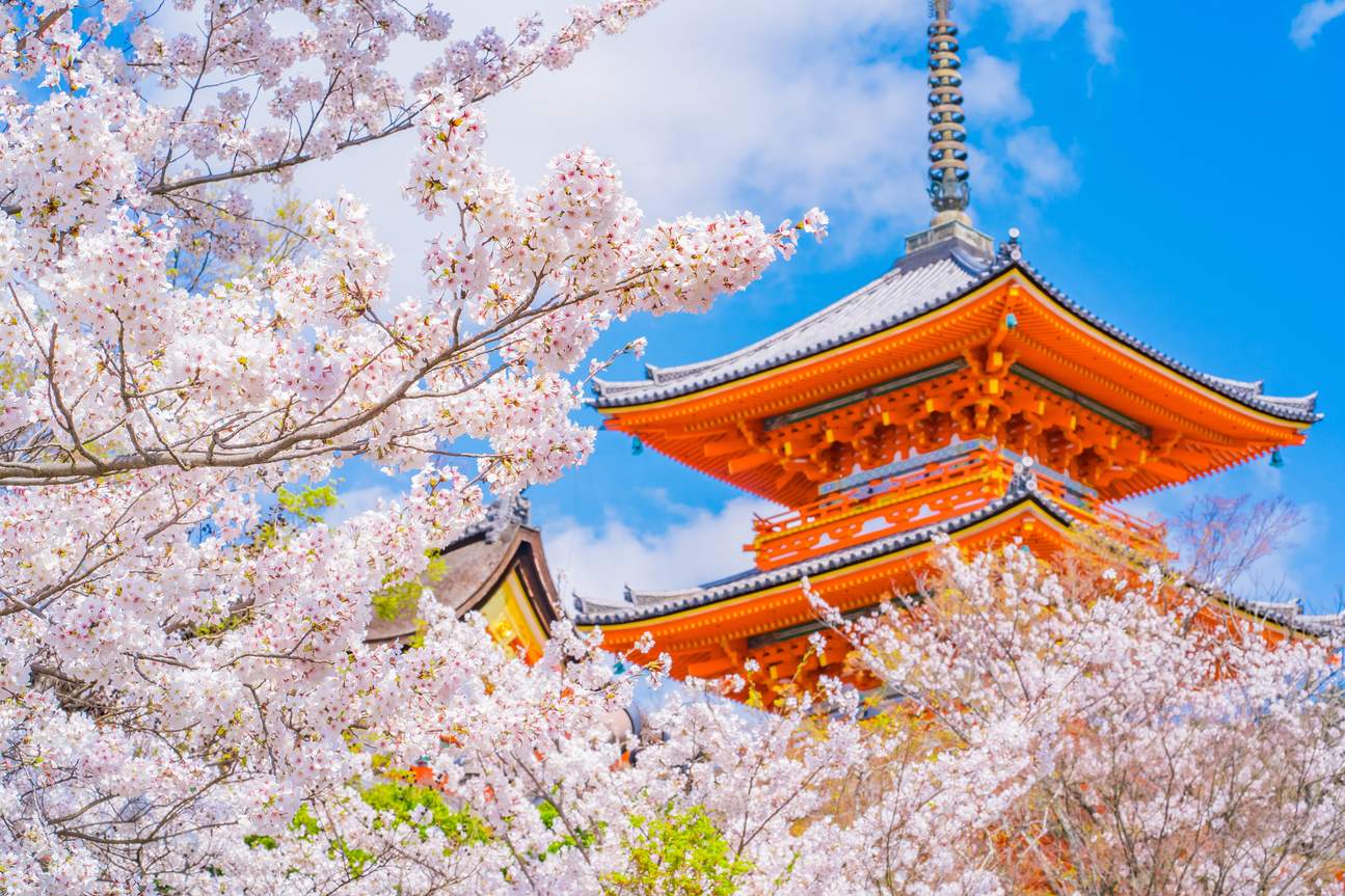 Online Booking for Snapshot Photography Experience (Kyoto) - Klook ...