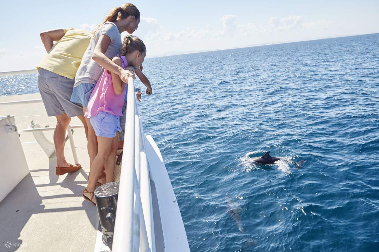 Port Stephens Private Day Tour - Klook Malaysia