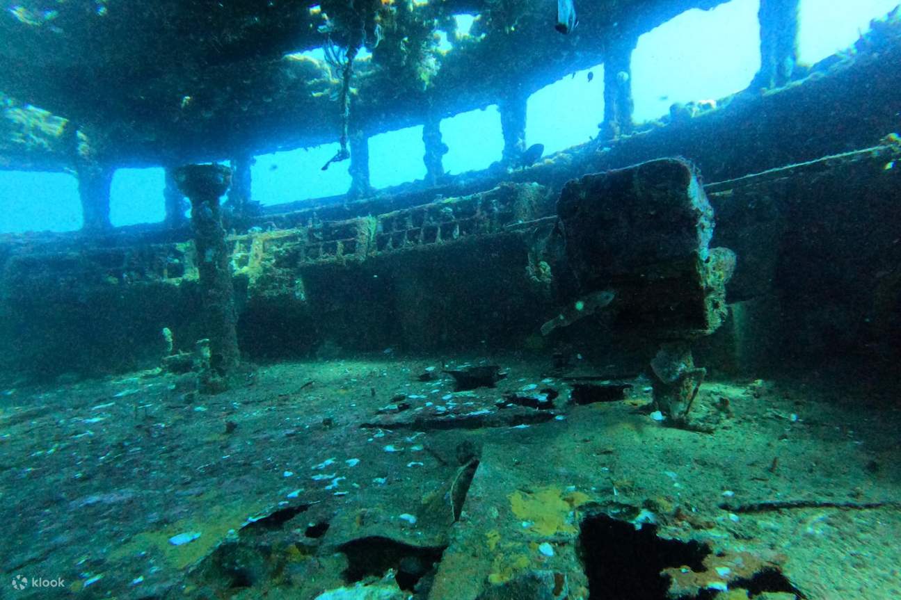 Scuba Diving in HMAS Swan Shipwreck Dive in Busselton - Klook India