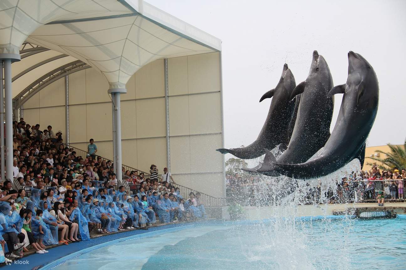 Minamichita Beach Land Admission in Aichi - Klook United States