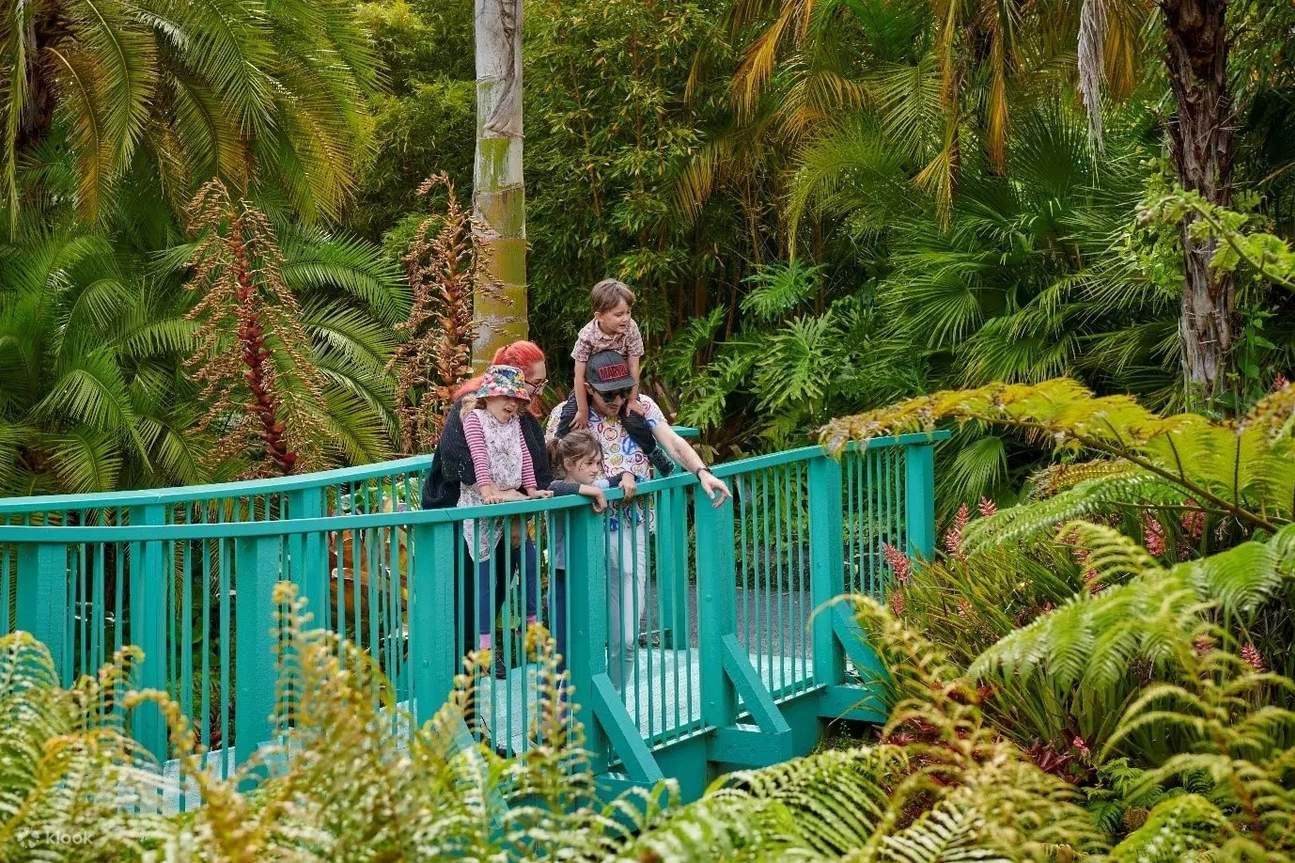 Hobbiton & Hamilton Tour From Auckland - Klook