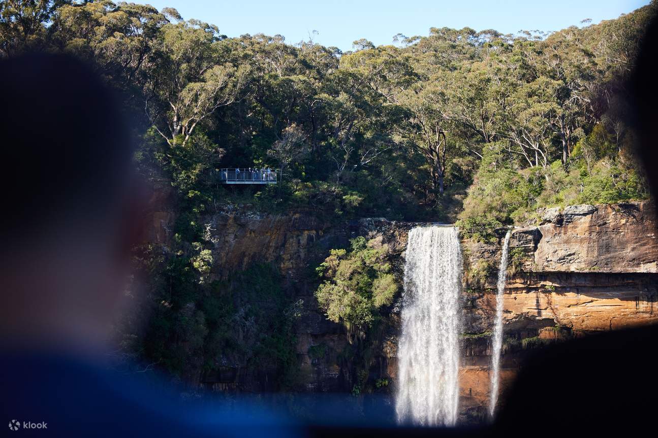 South Coast Wildlife, Waterfalls and Wine Tasting Tour from Sydney - Klook