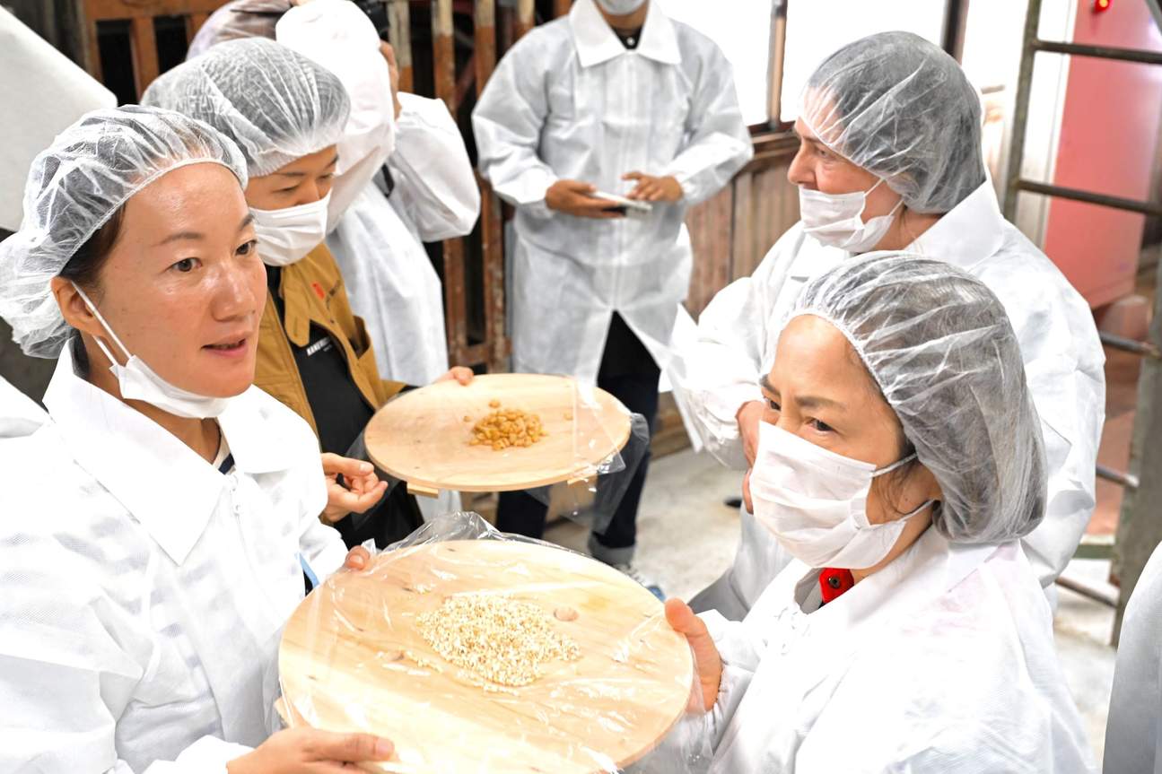 Crafts made from earth and air: Miso edition (for vegans) - Klook Hong Kong