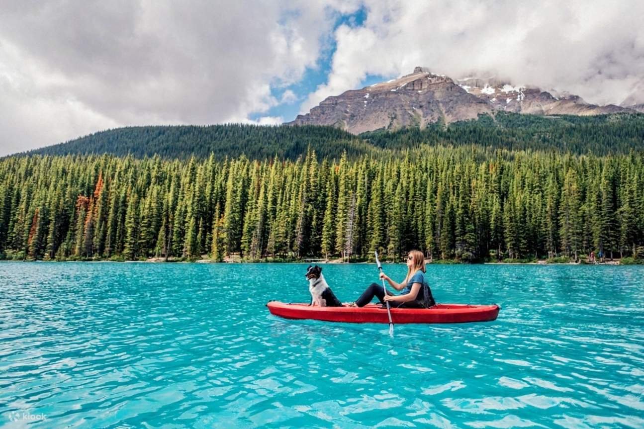 Top 5 Lakes with Banff Town Tour from Calgary, Canmore, or Banff ...