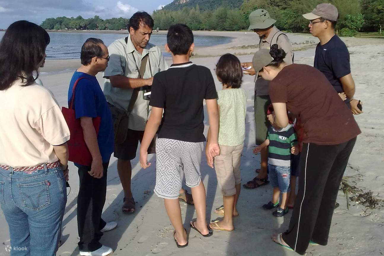 90 Minutes Beach and Tide Pool Walk in Desaru Walking Tour - Klook