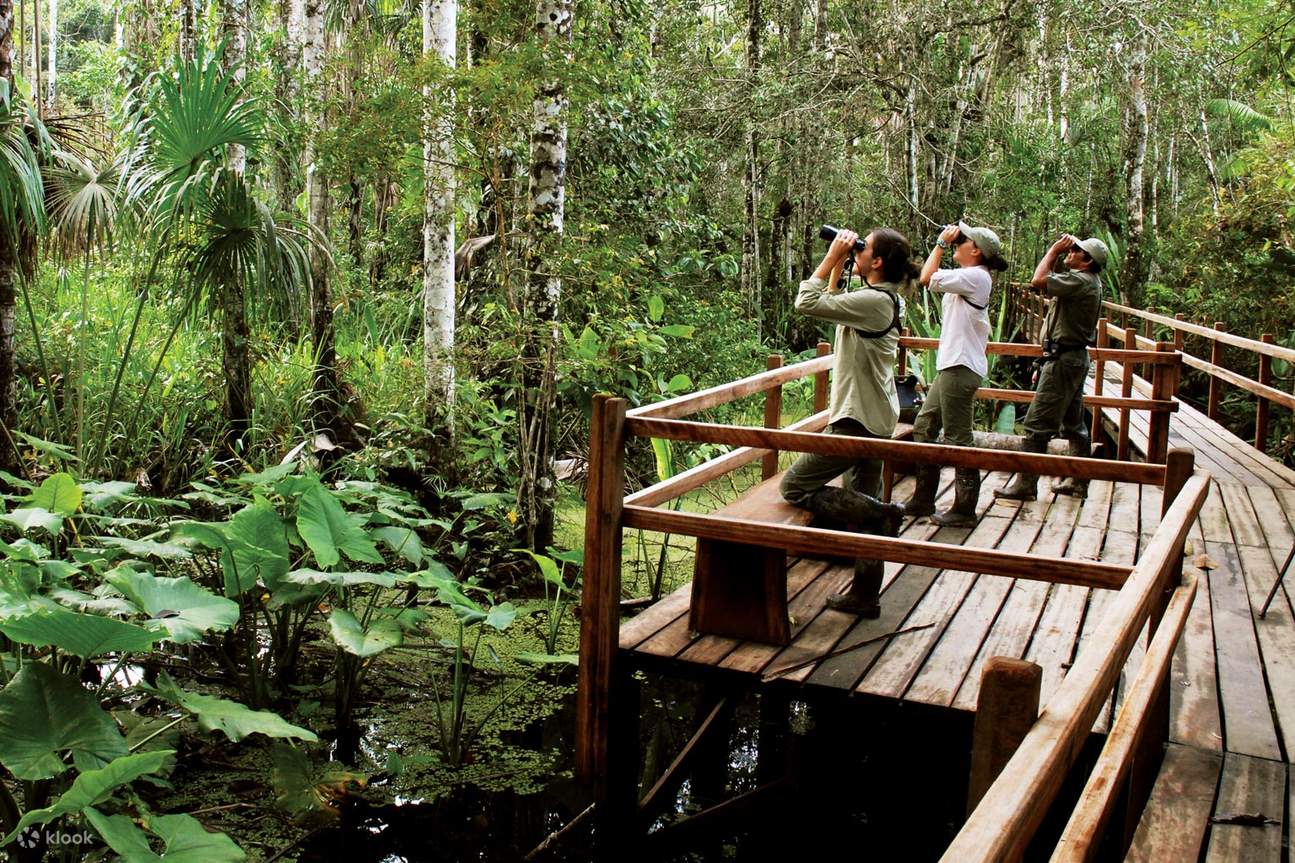 Explore Peru's Breathtaking Wilderness: Tambopata National Reserve Tour ...