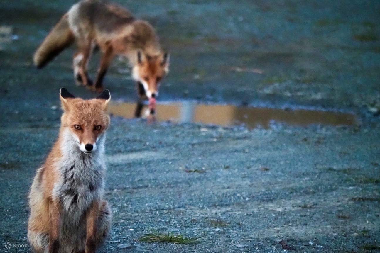 Rumoi Bike Tour in Hokkaido - Klook Philippines