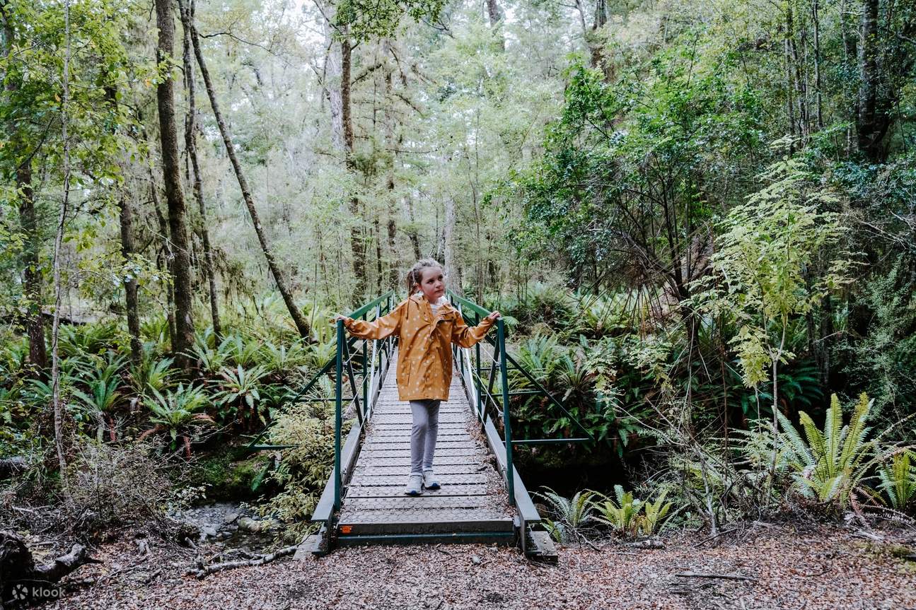 Kepler Track Day Walk by Water Taxi - Klook
