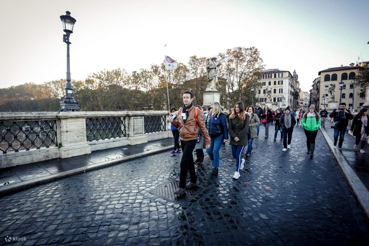Rome Pope Francis' Public Papal Audience Tour - Klook