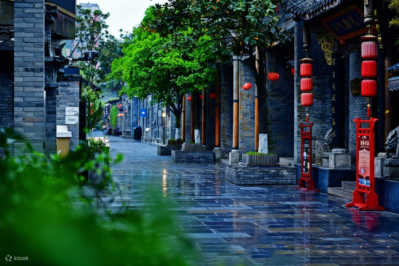 6-Day In-Depth Chongqing & Chengdu Tour (Chengdu Giant Pandas ...