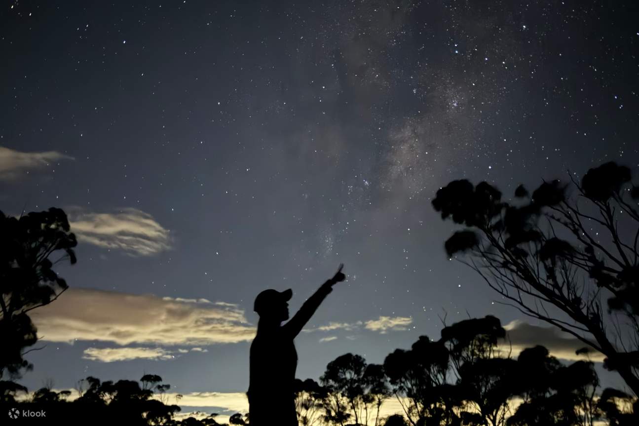 Blue Mountain Sunset & Stargazing Tour with Featherdale Zoo - Klook ...