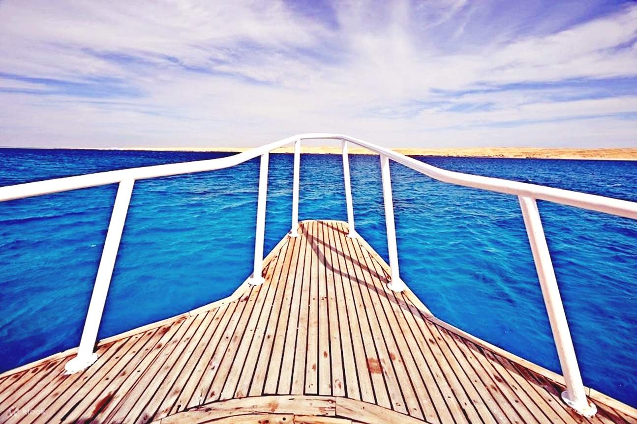 Ultimate Red Sea Adventure: Dolphin Watching, Snorkeling & Lunch ...