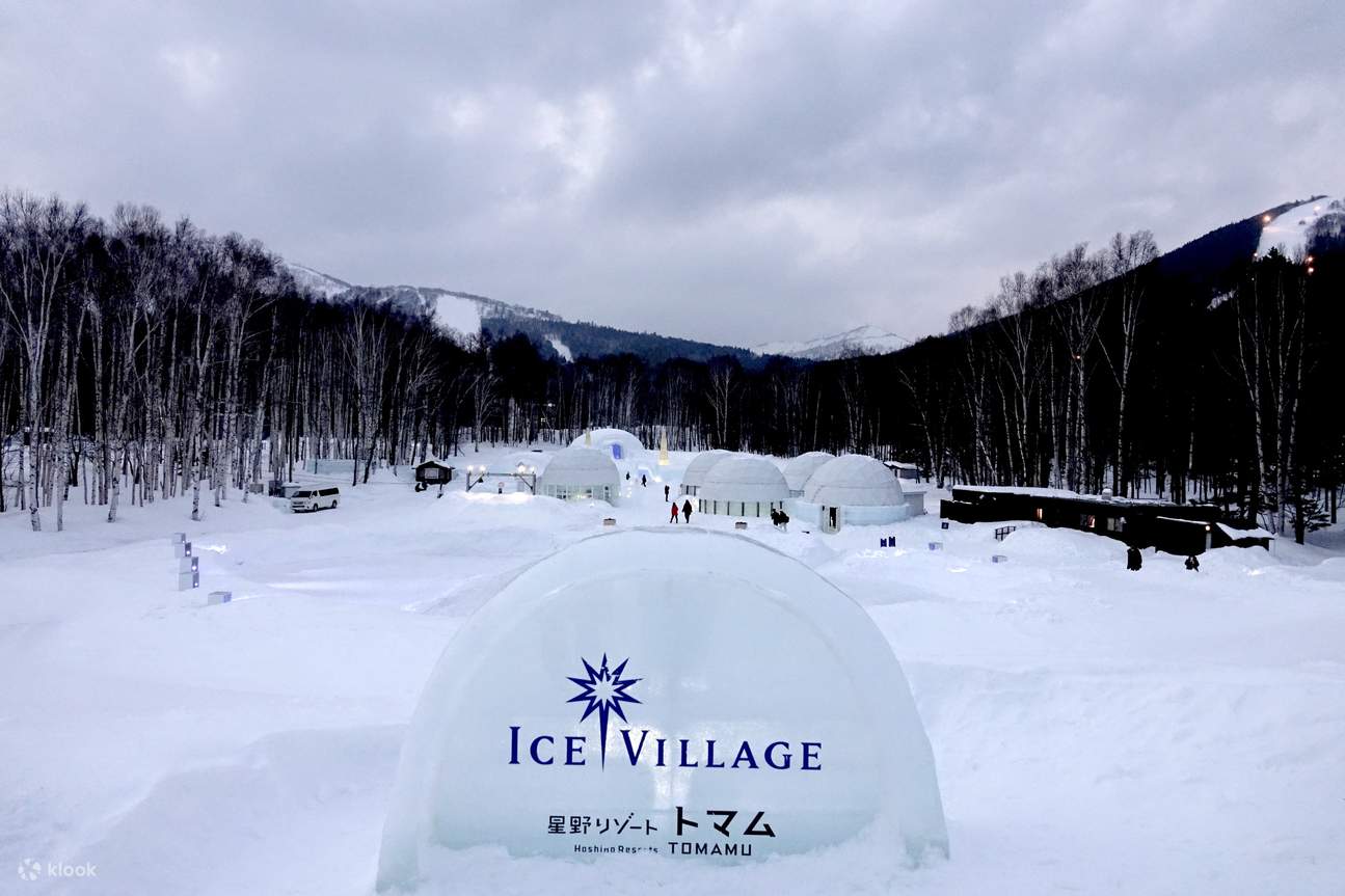 Lake Shikotsu Ice Wave Festival & Hoshino Tomamu Ice Village Day Trip ...
