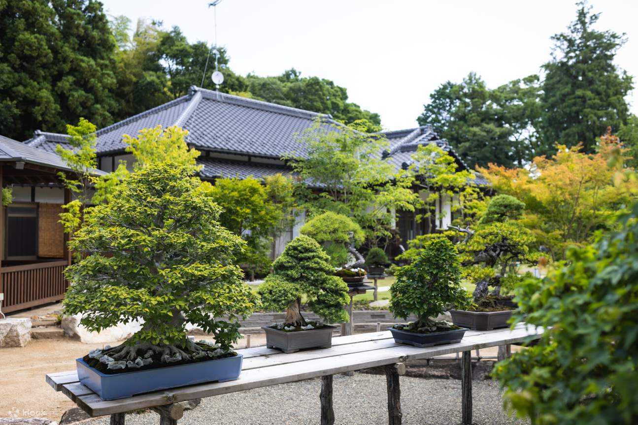 [Departing from Tokyo! 2 nights and 3 days in Ibaraki Prefecture] A ...