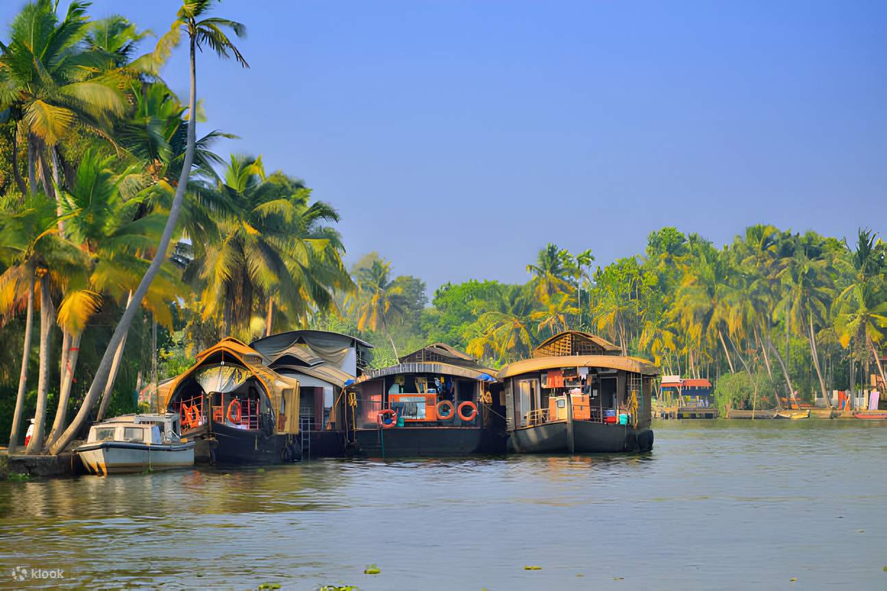 Day Tour of Alleppey House Boat from Cochin - Klook United Kingdom