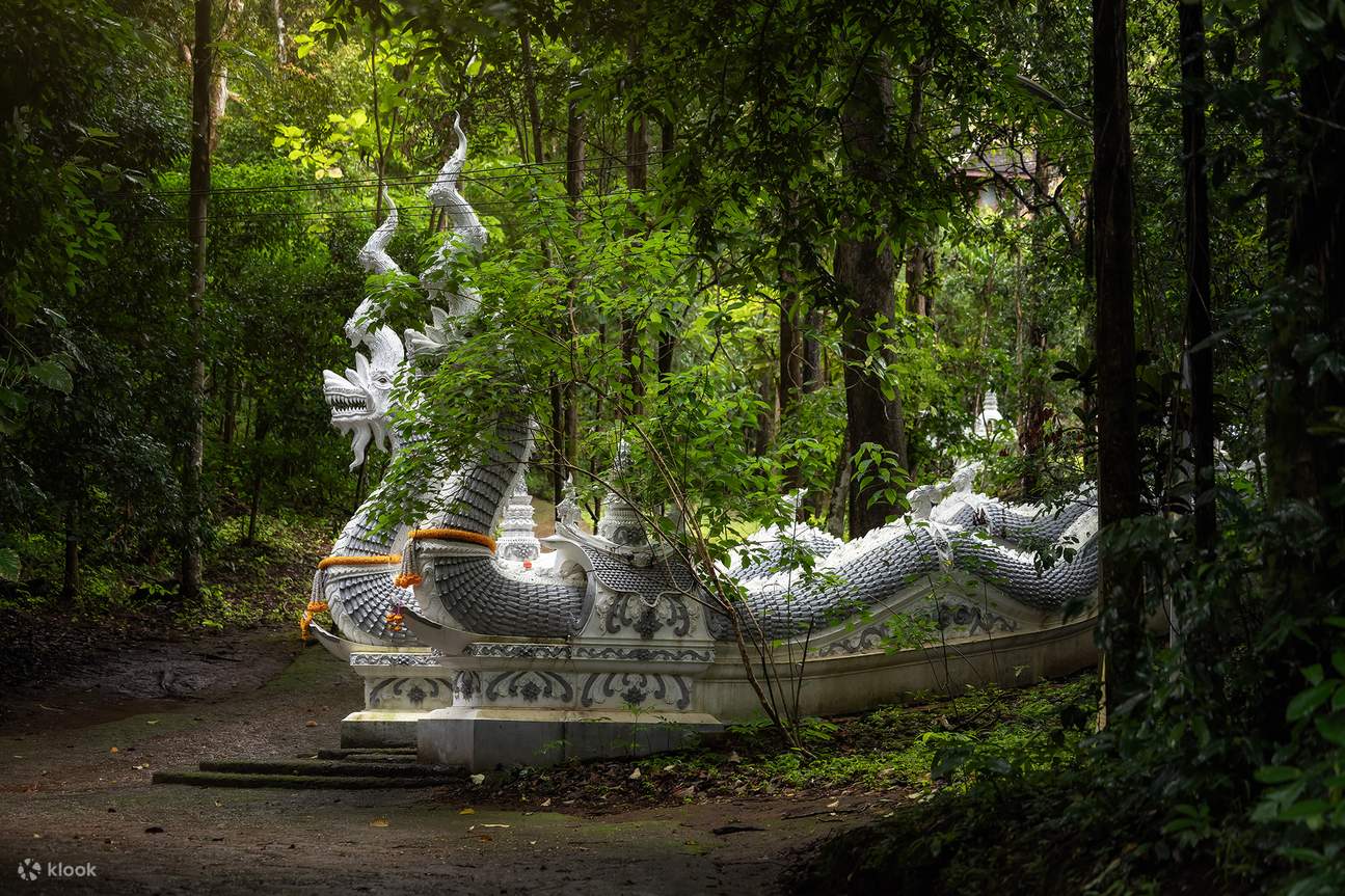 Chiang Mai Wat Luang Khun Win & Waterfall Full Day Hiking Adventure ...