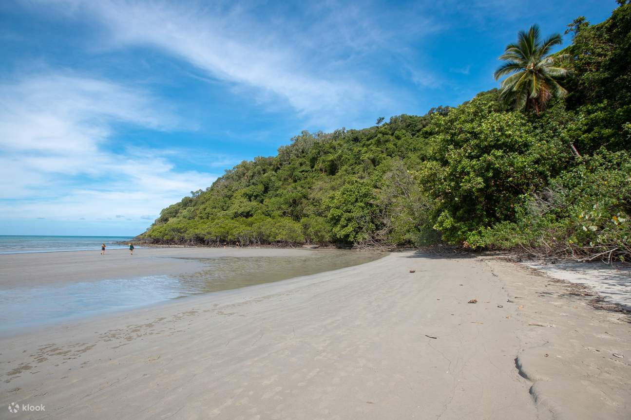 Daintree Rainforest And Cape Tribulation Full Day Tour by Billy Tea ...